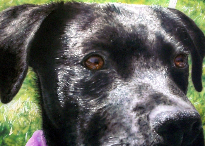 Grex Airbrush - Intro to Photorealistic Painting - Kotachrome